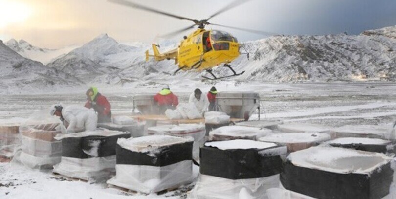 eco-board® Corrugated Crate Boxes - Ox Box